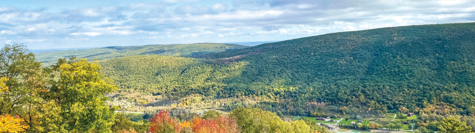 Fall Sky Rides | Bristol Mountain | Enjoy The Beautiful Autumn Colors